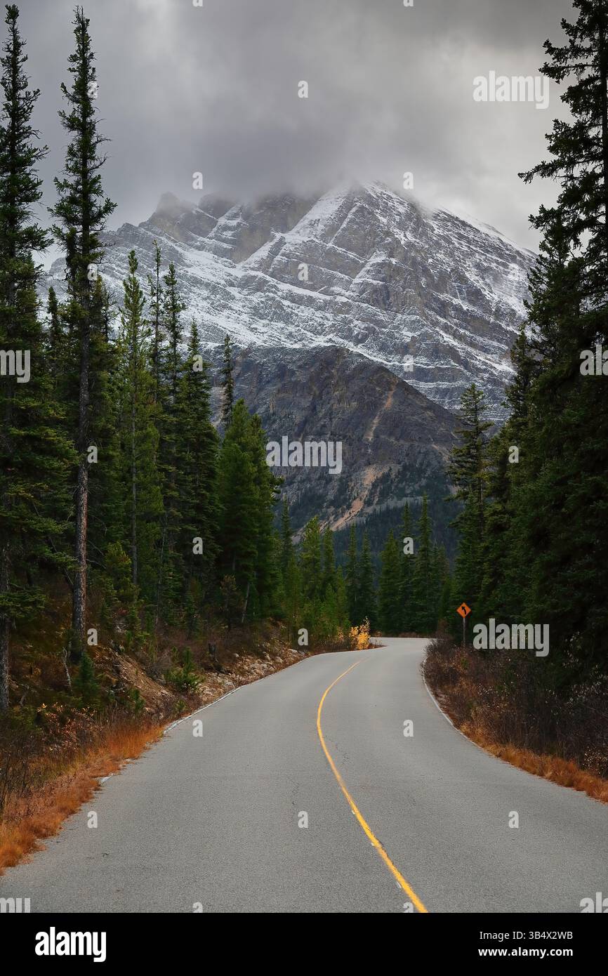 Stretch road in snowy hi-res stock photography and images - Alamy
