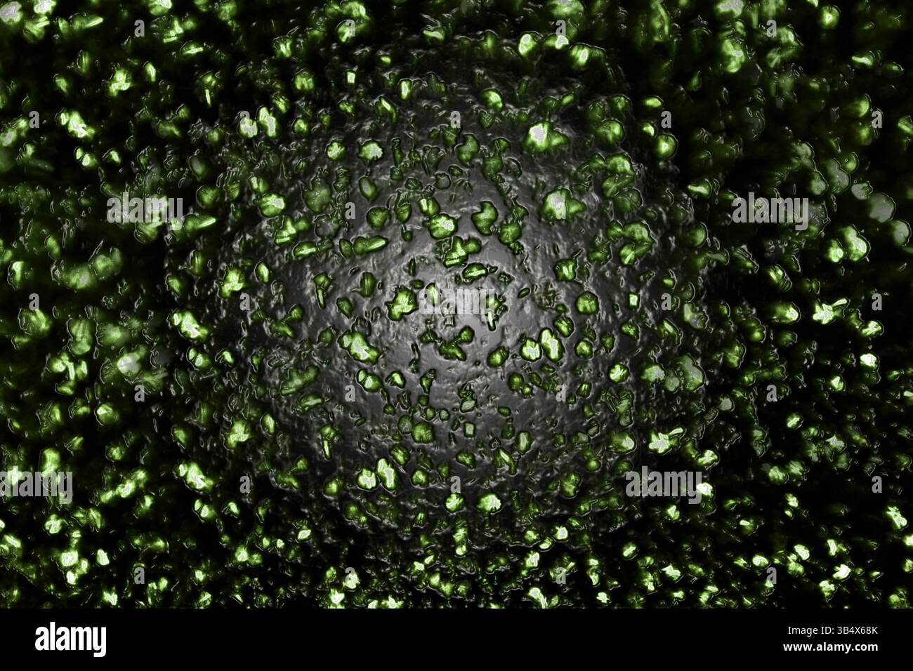 Green bacteria multiplying and spreading on dark surface forming ...