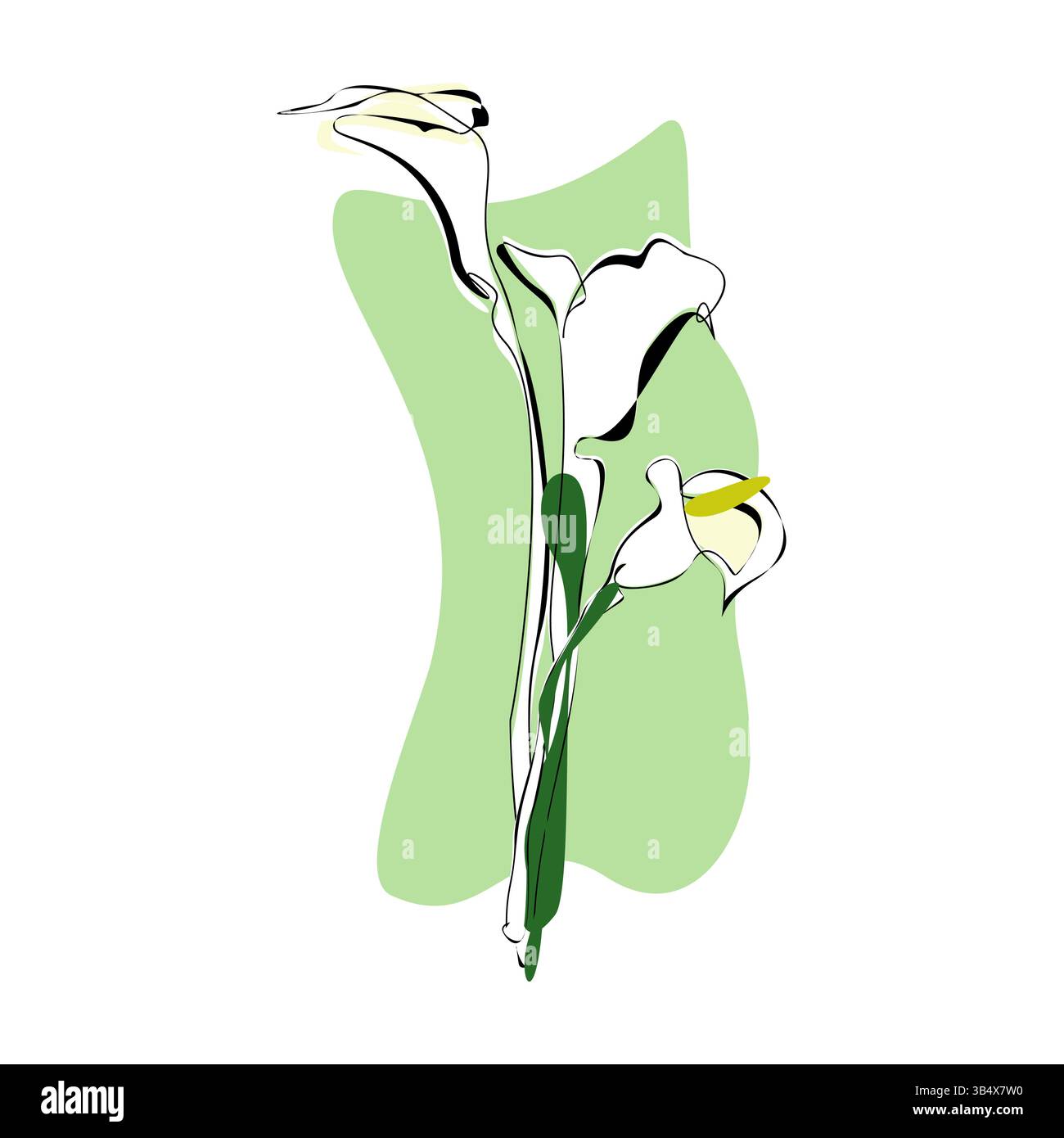Blossom calla lily sketch Stock Vector Images - Alamy