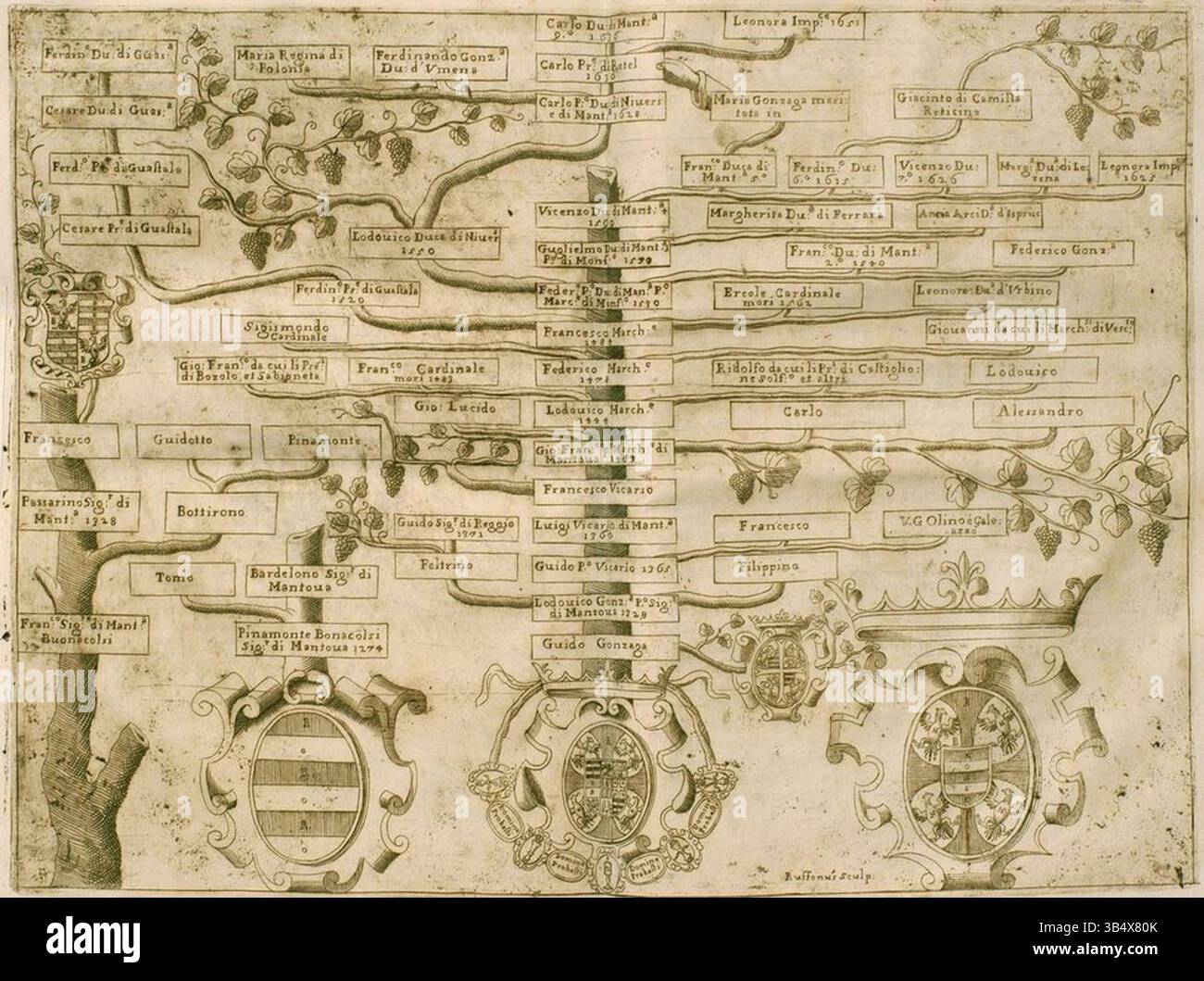 The 17th-century genealogical tree of the Gonzaga family traces the ...