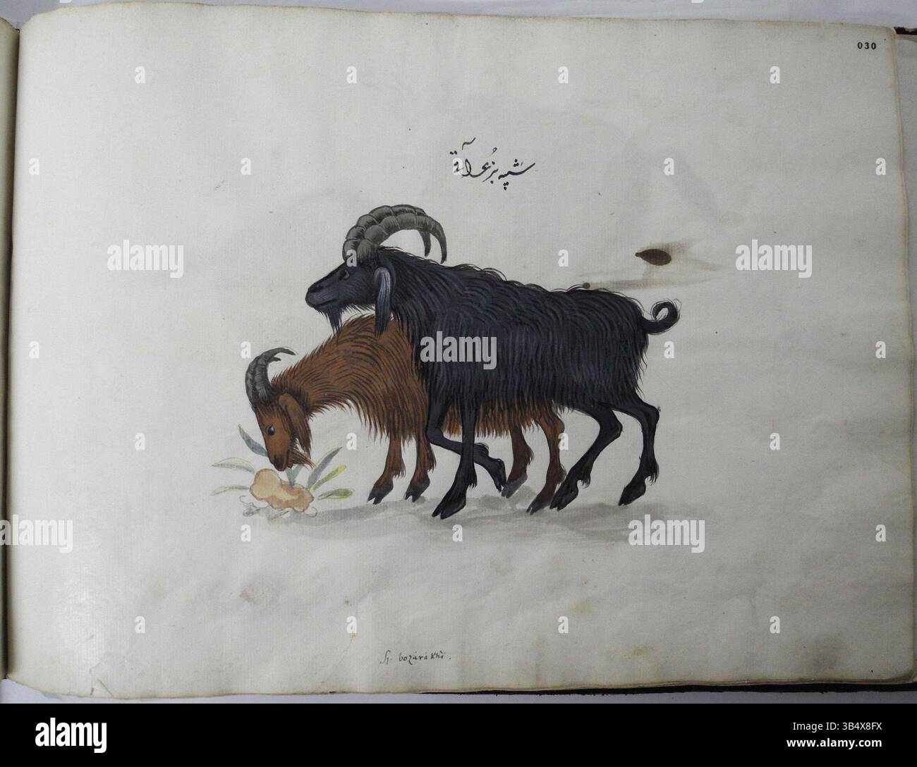 This 1684-1685 AD (1096 AH) drawing by Janí, associated with Engelbert ...