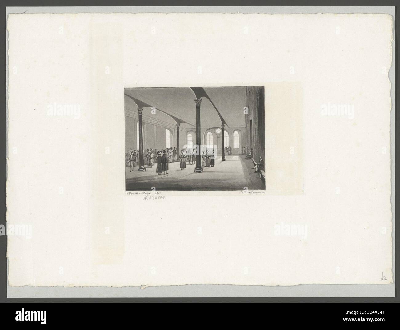 Print from the 19th century by Maximilien de Meuron and Johann ...