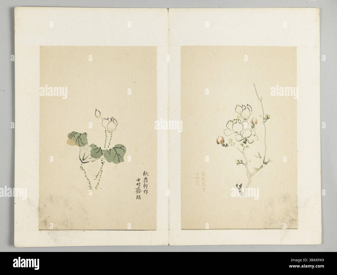 Chinese print, individual copy, The Palace Museum, traditional art ...