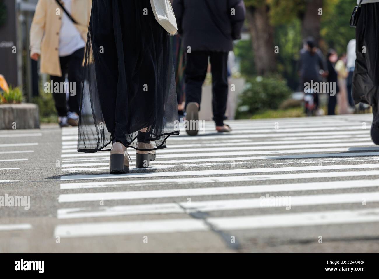 Casually dressed people cross a zebra stripped crosswalk in a bustling ...