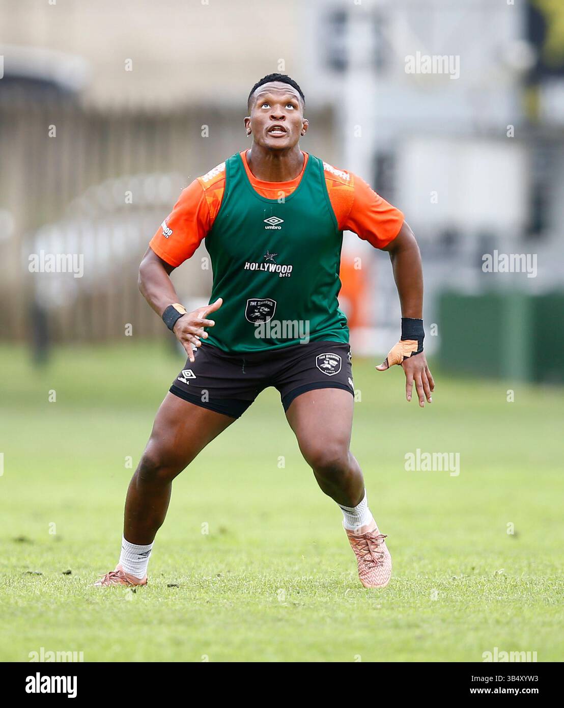 Phendulani Buthelezi of the Hollywoodbets Sharks during the ...