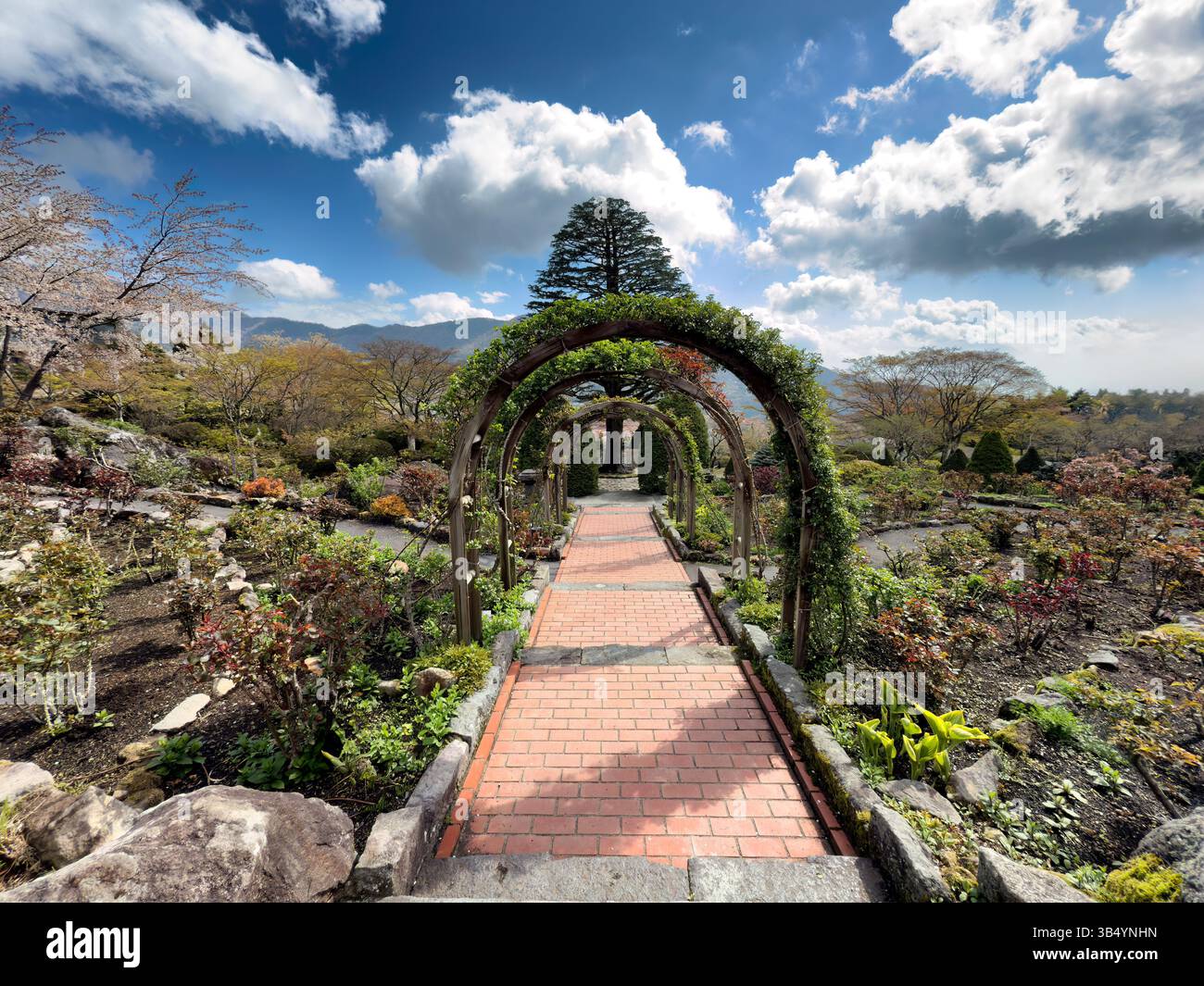 Arch forming pathway in hi-res stock photography and images - Alamy