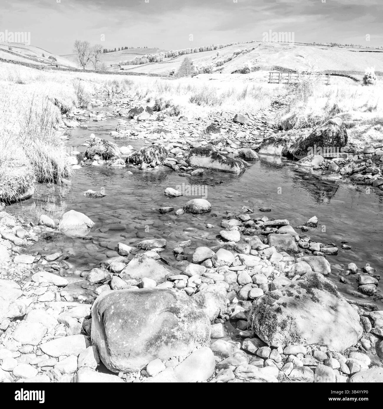 A walk along Long Preston Beck in a dry, spell in Spring 2025 Water is ...