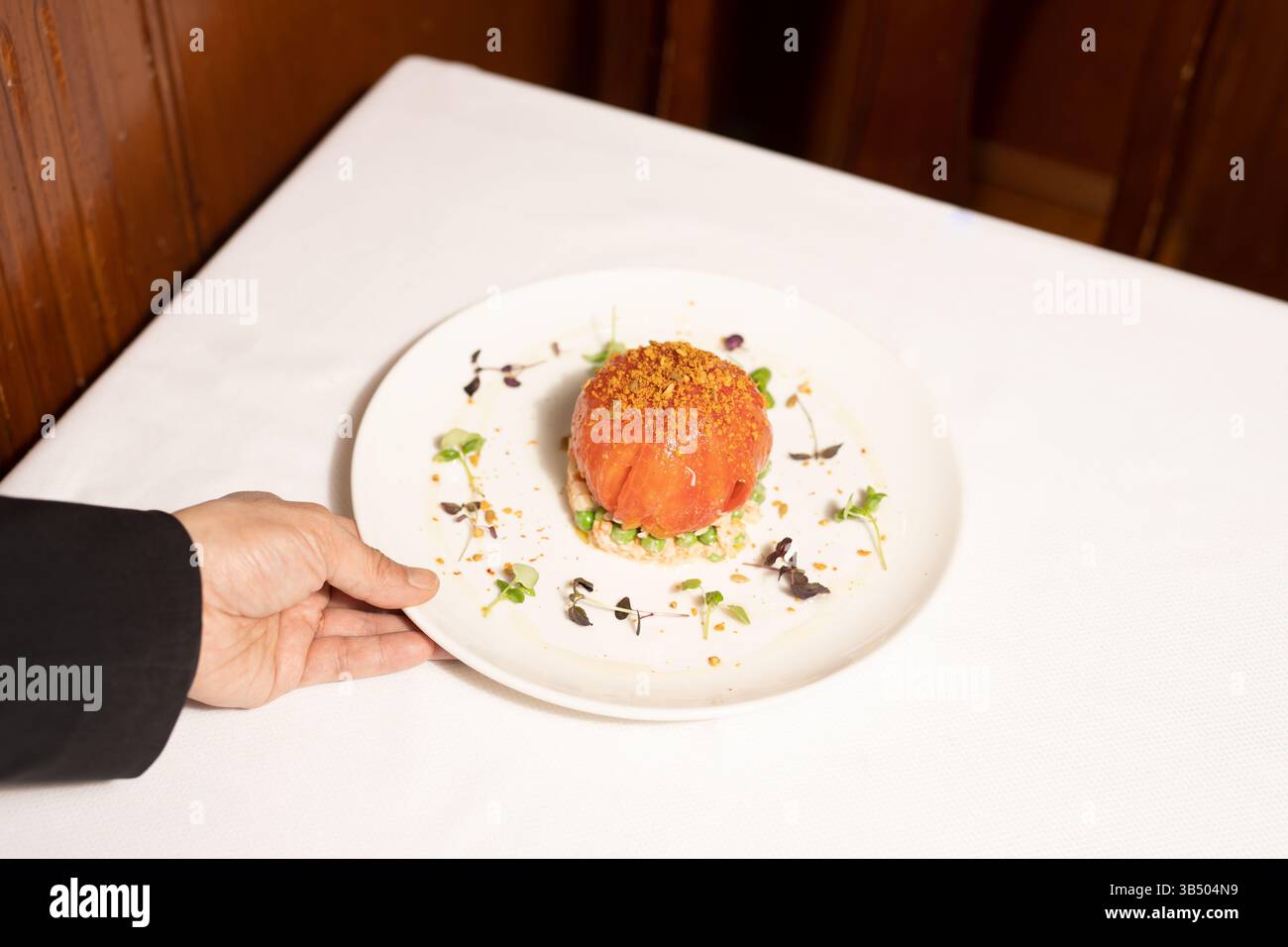 Elegant Plated Gourmet Dish – Tomato & Herb Garnish in Fine Dining ...