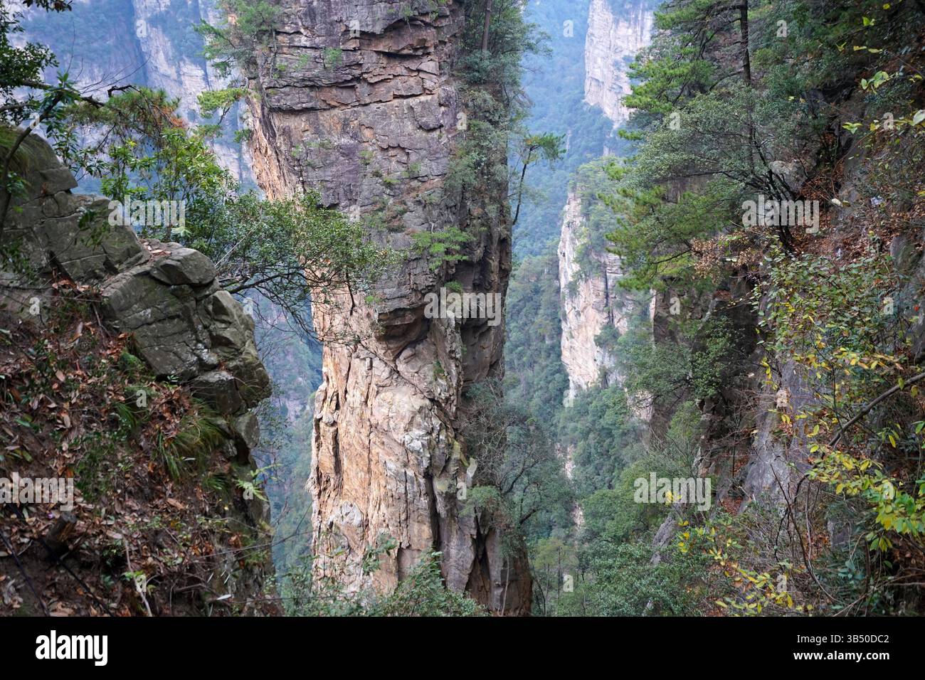 Avatar Mountain National Park, Zhangjiajie, China Stock Photo - Alamy