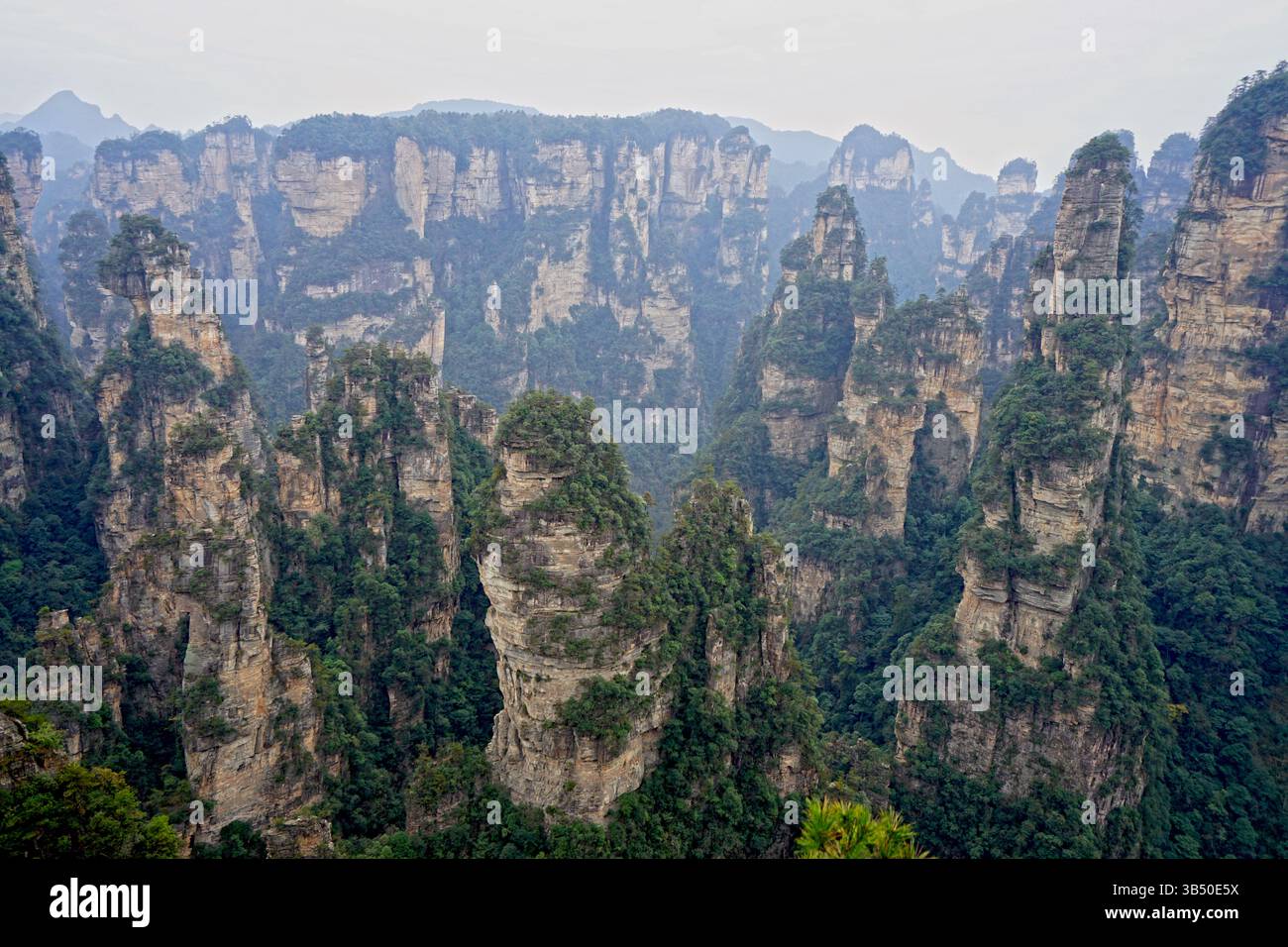Avatar Mountain National Park, Zhangjiajie, China Stock Photo - Alamy
