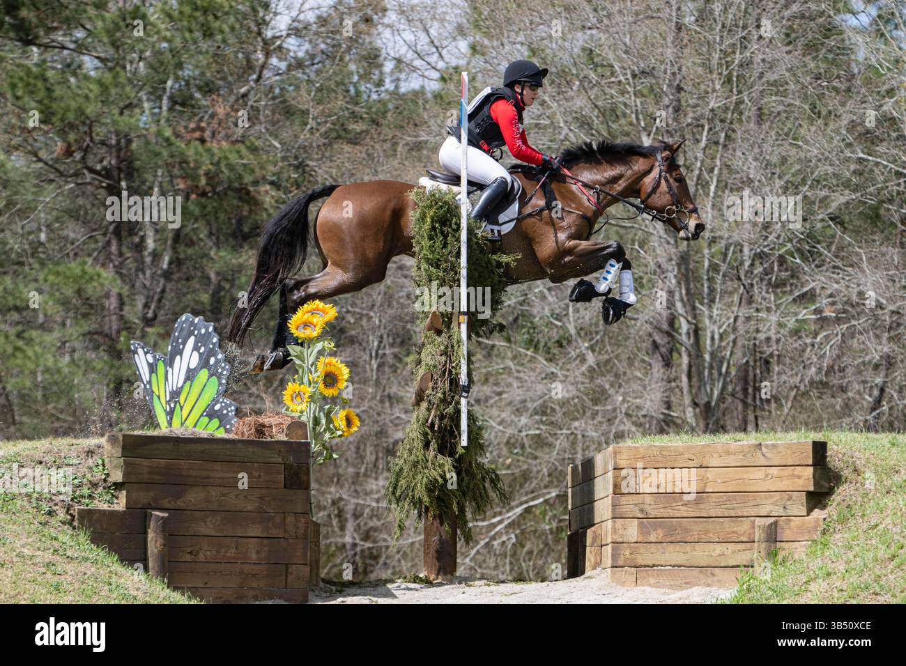 Pamela galloway hi-res stock photography and images - Alamy