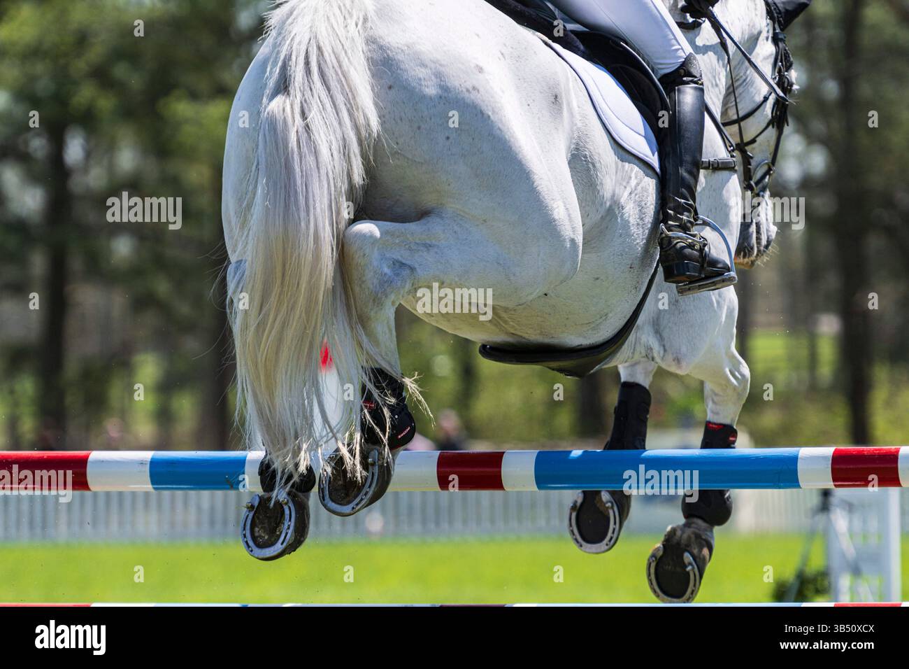 March 25, 2022, Raeford, North Carolina, USA: CAROLINE MARTIN of the ...