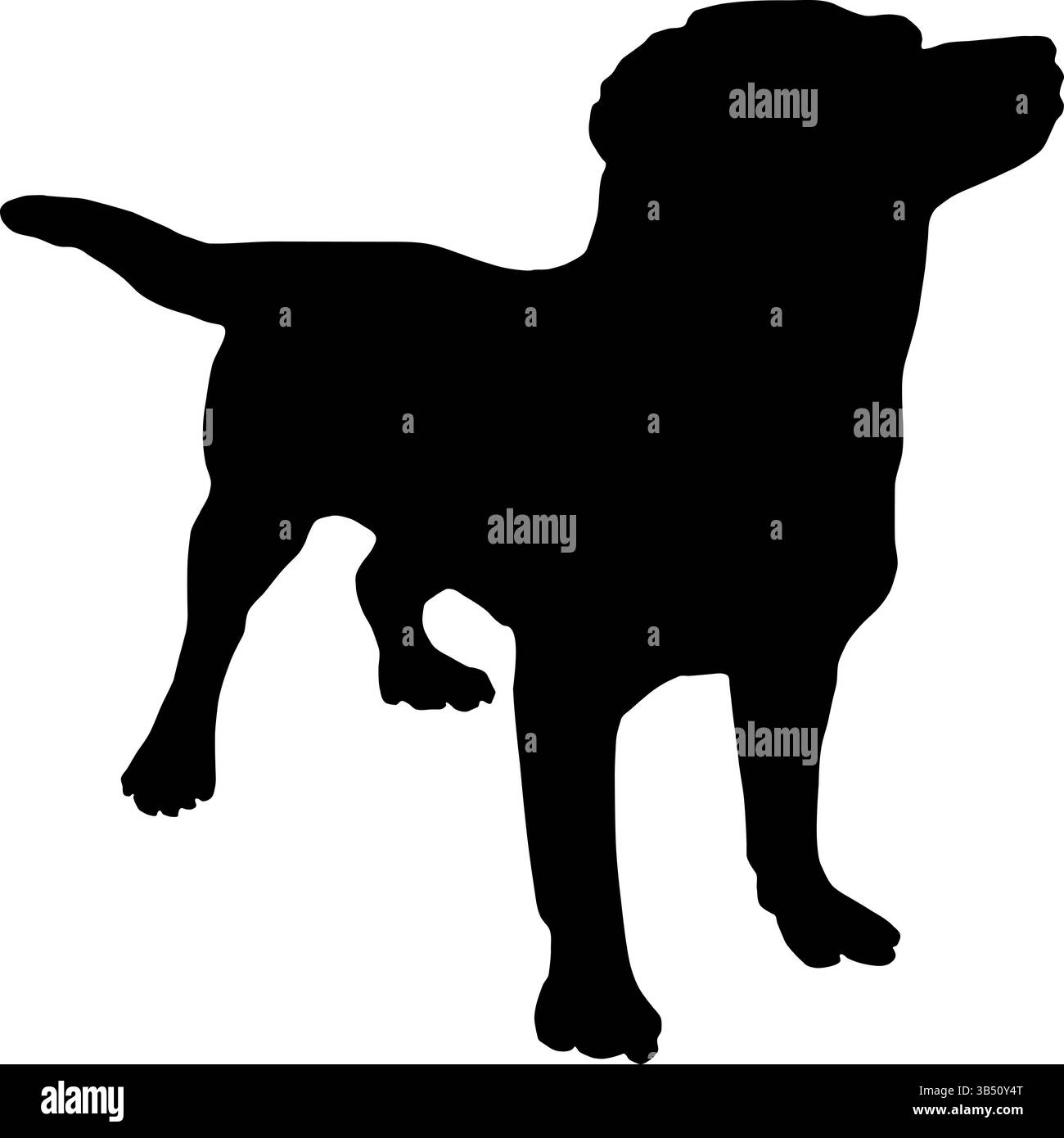 Diy poster Black and White Stock Photos & Images - Alamy