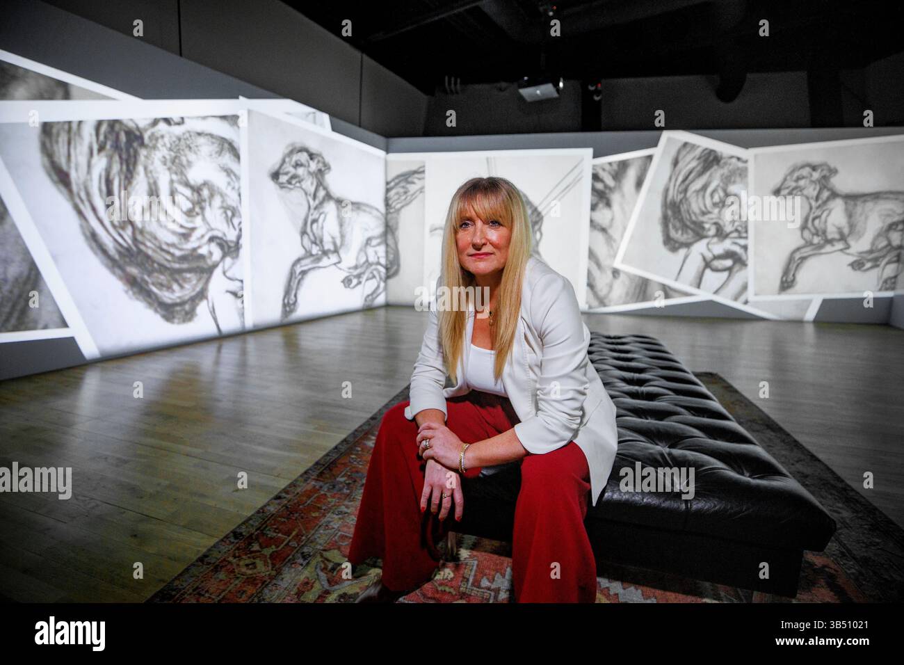 Judith Owens MBE, the Chief Executive at Titanic Belfast, in a new ...