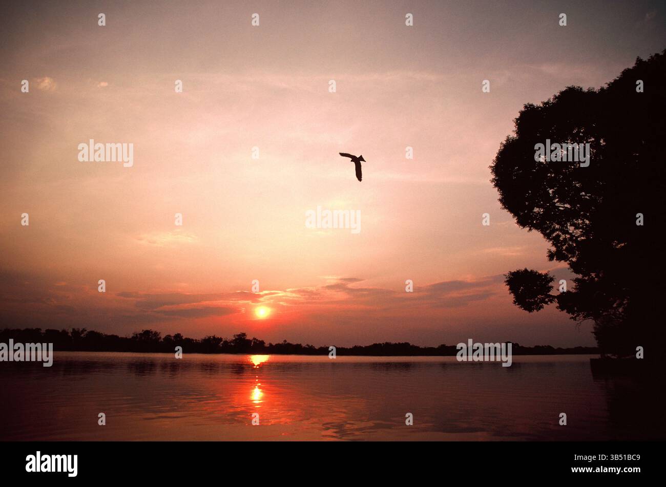 Zambia. Sunset at Kafue River Stock Photo - Alamy