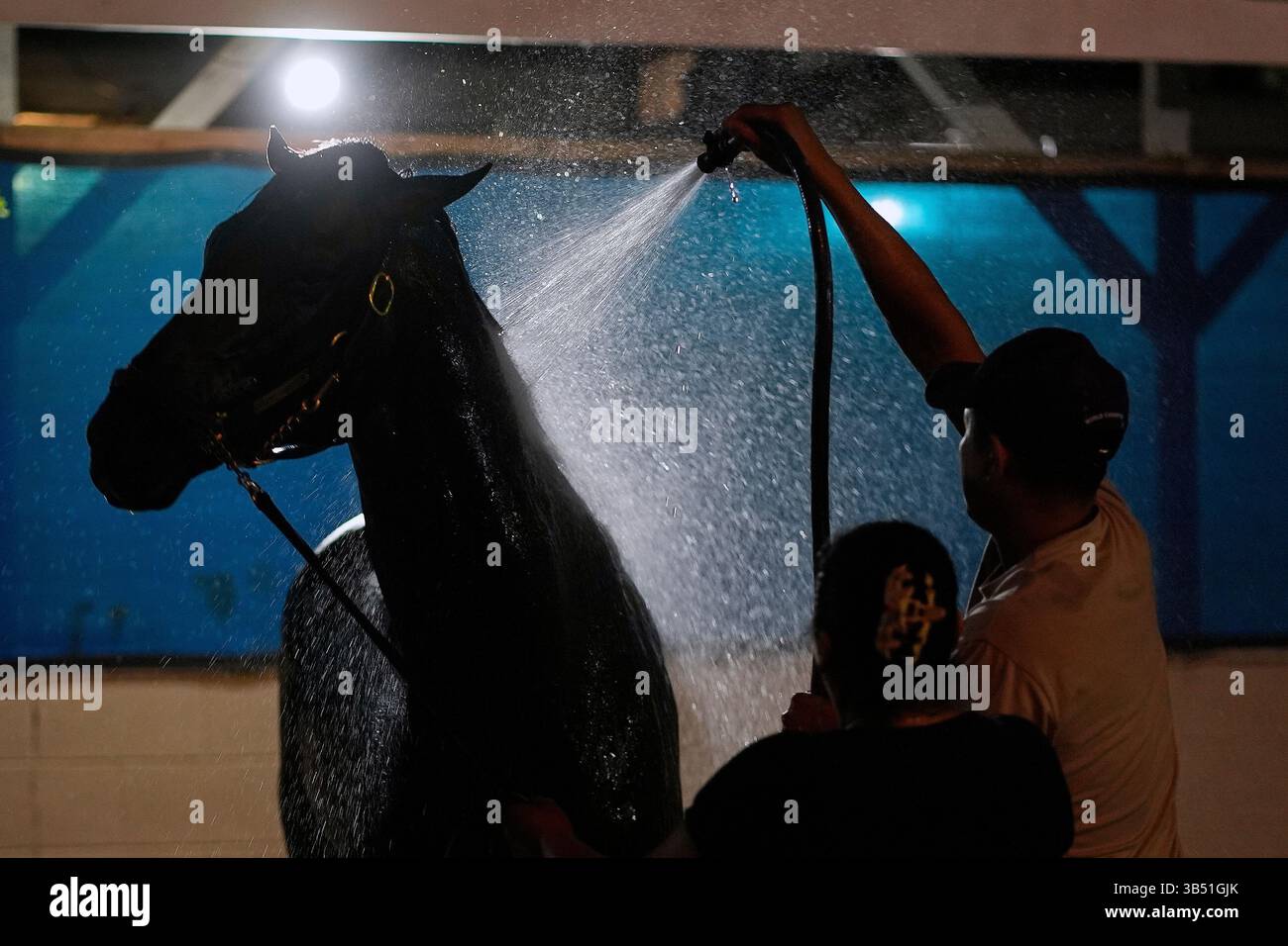 A horse gets a bath after a workout at Churchill Downs Thursday, May 1, 2025, in Louisville, Ky ...