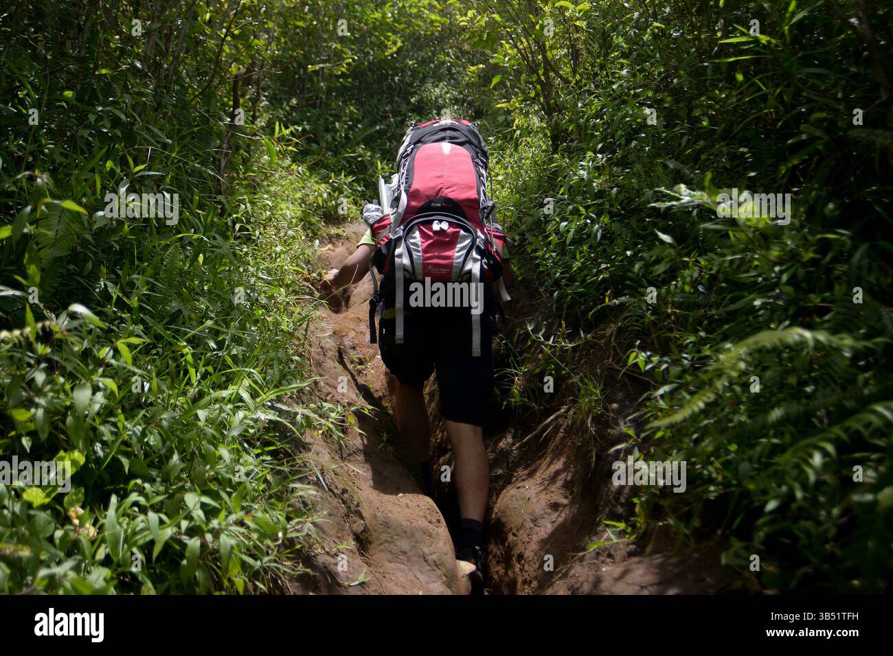 Mar 29, 2022 - Pagaralam, South Sumatra, Indonesia - Three Sriwijaya ...
