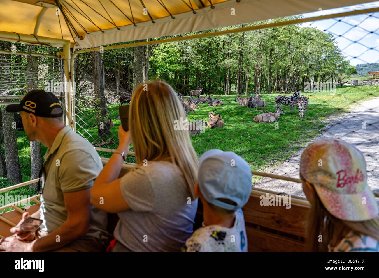 African Safari and Lion Safari in ZOO Safari Park Dvur Kralove nad ...