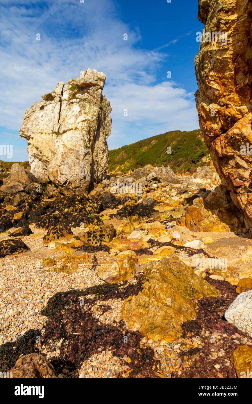 The White Lady a quartzite sea stack on the beach at Porth Padrig near ...