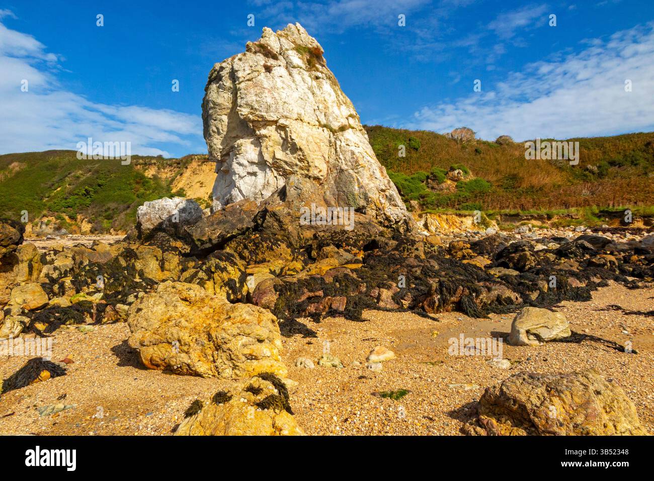 The White Lady a quartzite sea stack on the beach at Porth Padrig near ...