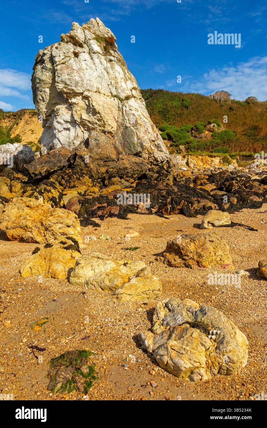 The White Lady a quartzite sea stack on the beach at Porth Padrig near ...