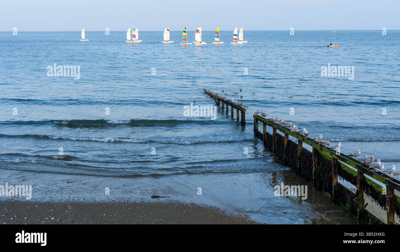 Regatta 2025 hi-res stock photography and images - Alamy