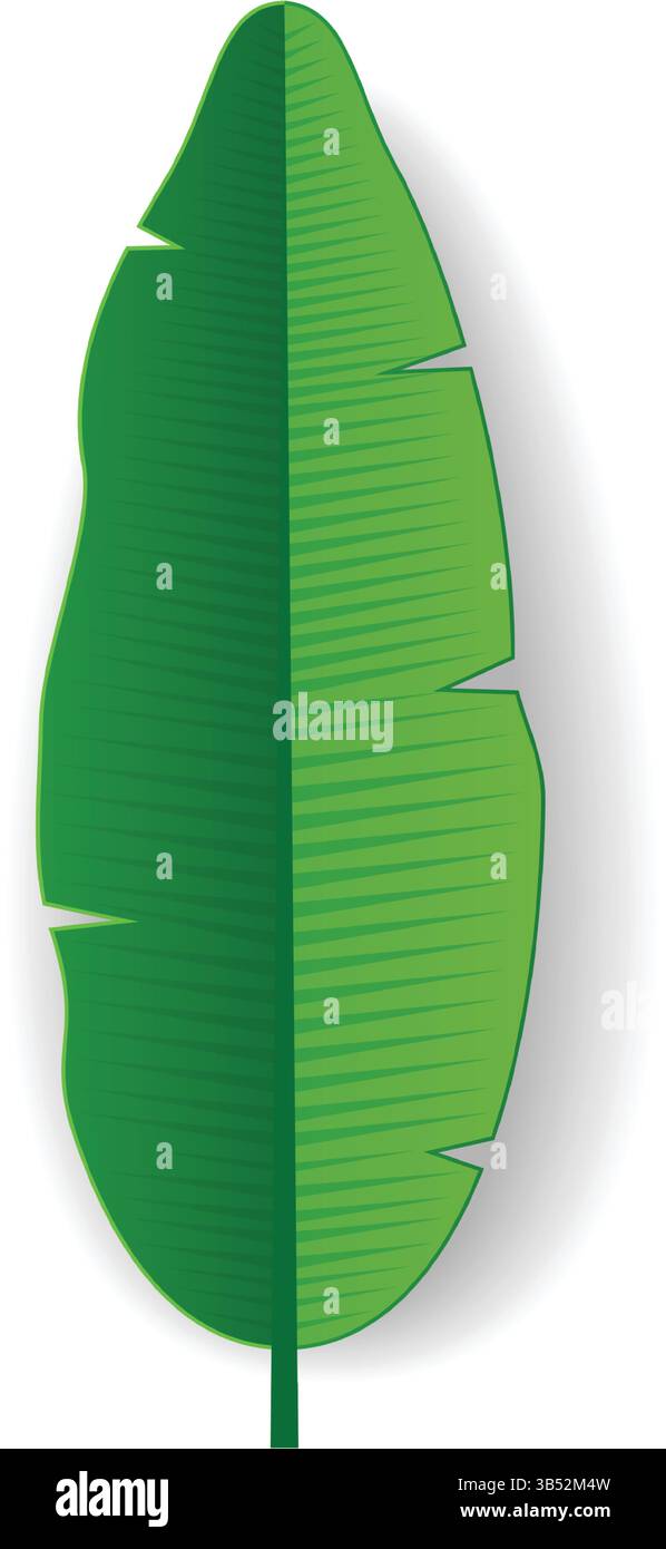 Green tropical single leaf vector isolated icon Stock Vector Image ...