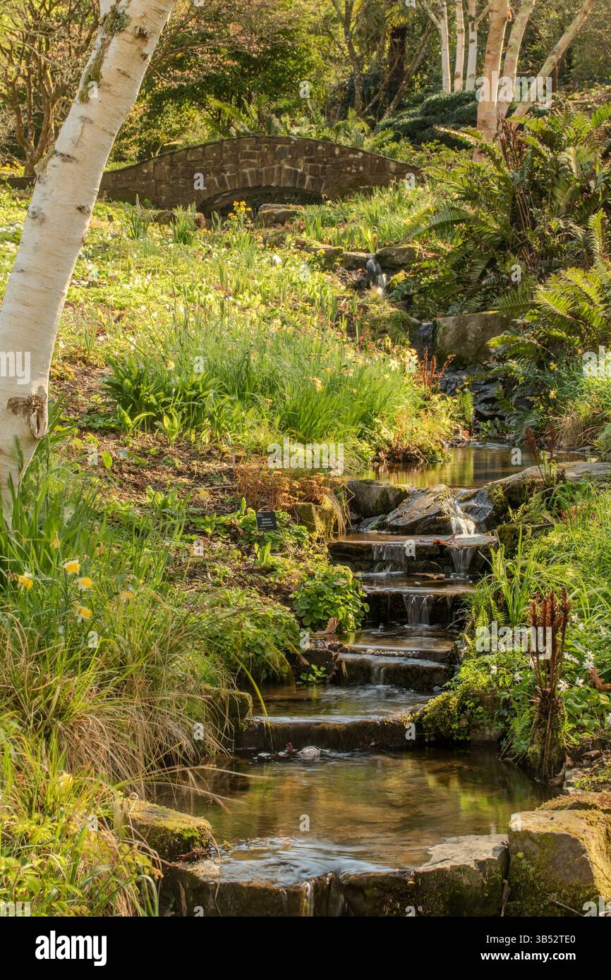 RHS Garden Rosemoor, botanical garden in North Devon, England.Alluring ...