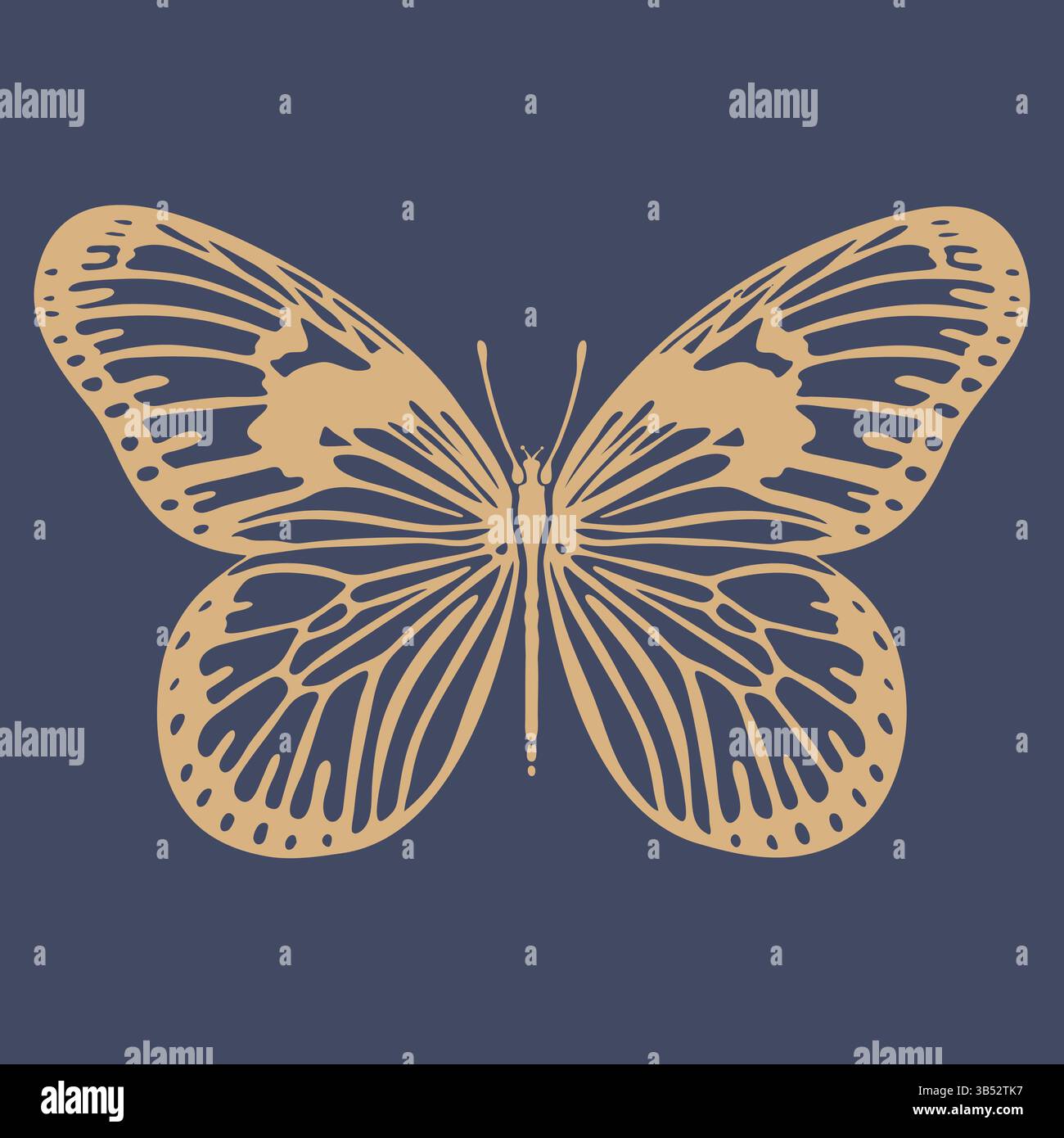 Vector butterfly stencil element. Elegant insect ornament design ...