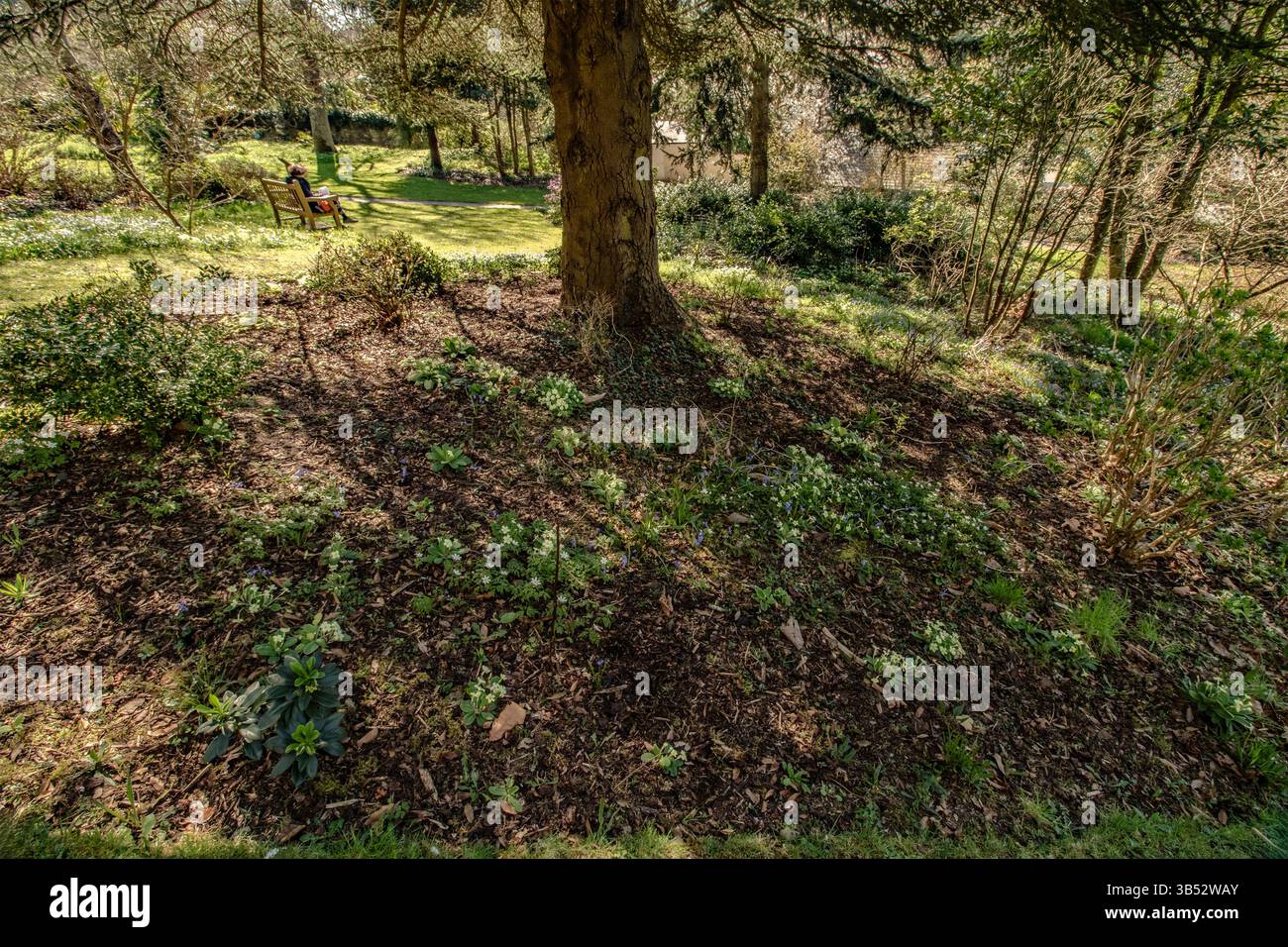 RHS Garden Rosemoor, botanical garden in North Devon, England.Alluring ...