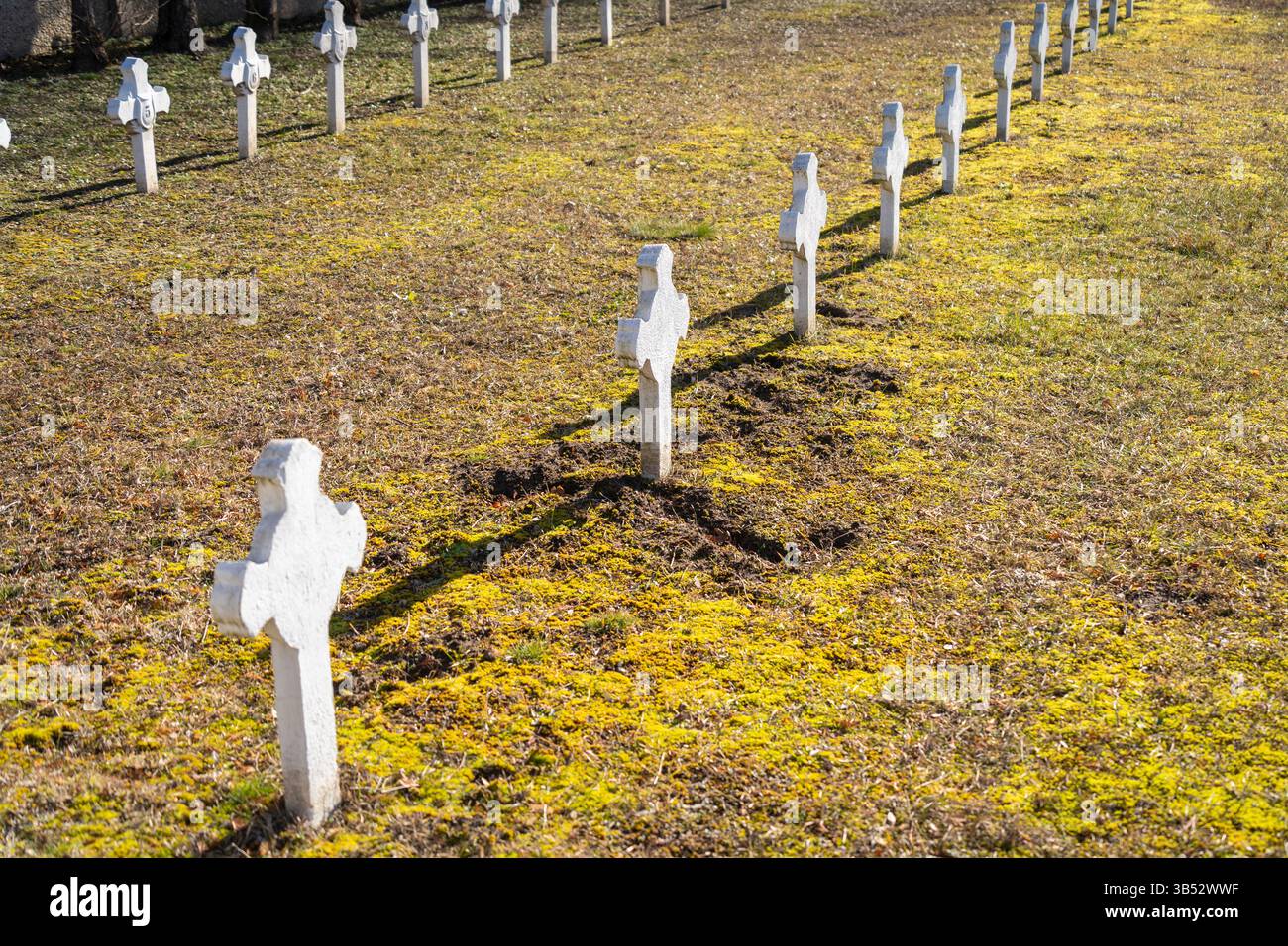 Military cemetery with anonymous white stone crosses Stock Photo - Alamy