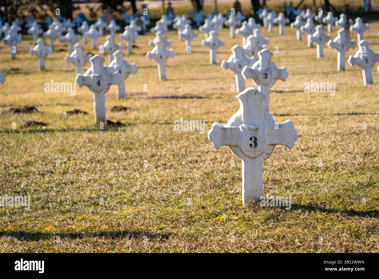 Military cemetery with anonymous white stone crosses Stock Photo - Alamy