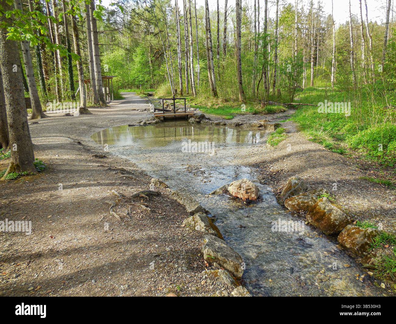 Tranquil Forest River with Wooden Footbridge and Gravel Bank in Lush ...