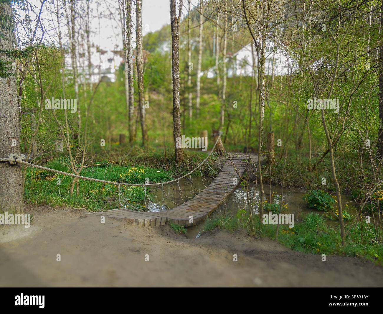 Rustic Wooden Suspension Bridge over Forest Stream in Spring Stock ...