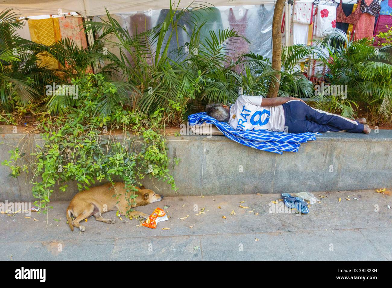 Man and dog sleeping on pavement in Church Street, Bangalore, Karnataka ...