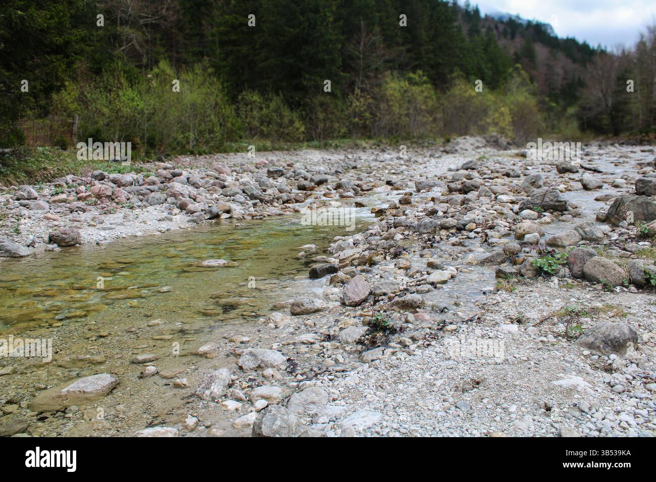 Shallow River with Stones and Transparent Water in the Alps Stock Photo ...