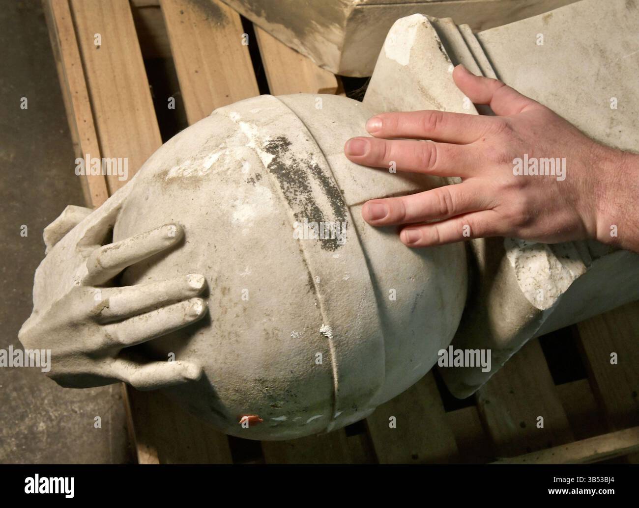 Hemsleya hi-res stock photography and images - Alamy