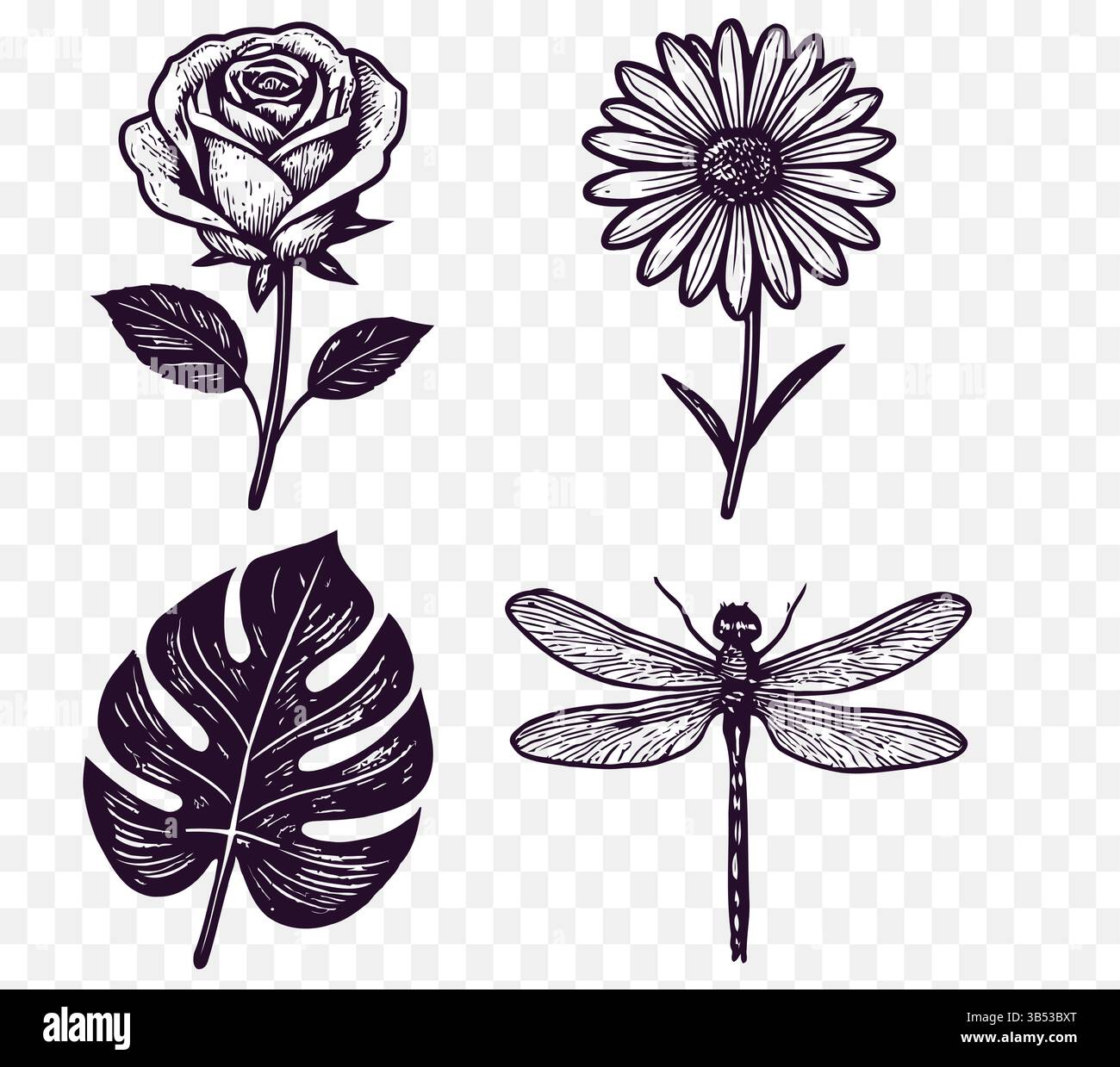 Collage-Cutout Set of Nature – Botanical and Natural Elements Vector ...