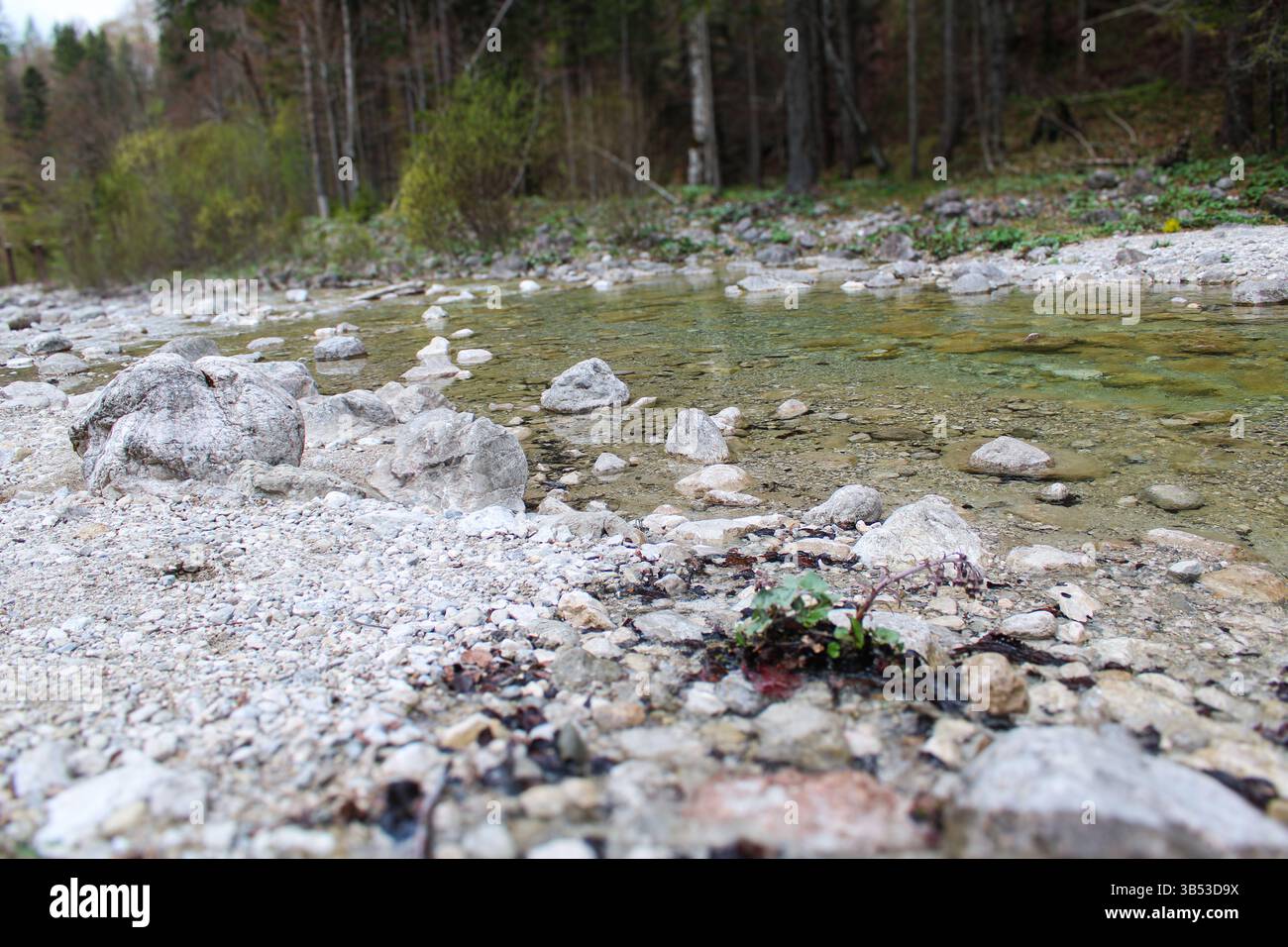 Shallow River with Pebbles and Crystal Water in Alpine Nature Stock ...