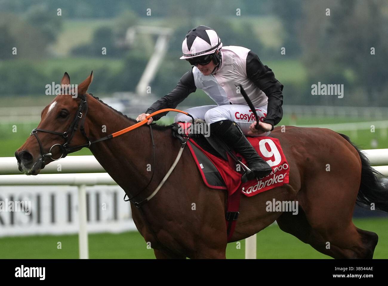 Teahupoo ridden by Sam Ewing on their way to winning the Ladbrokes ...