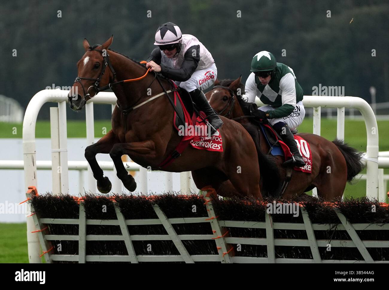 Teahupoo ridden by Sam Ewing (left) on their way to winning the ...