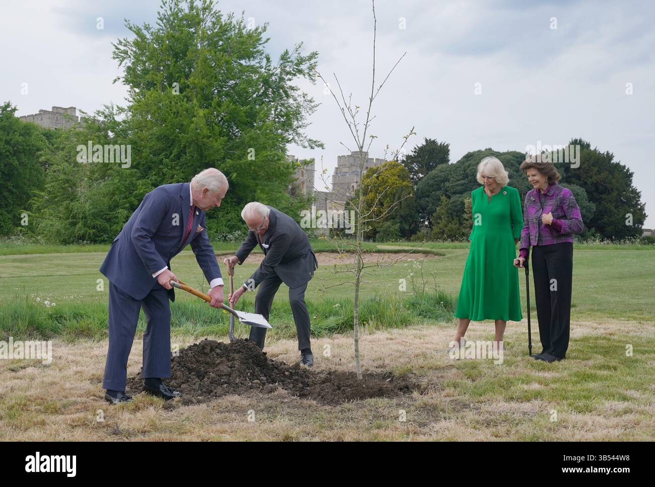 King Charles III and King Carl XVI Gustaf plant a Swedish oak (Quercus ...