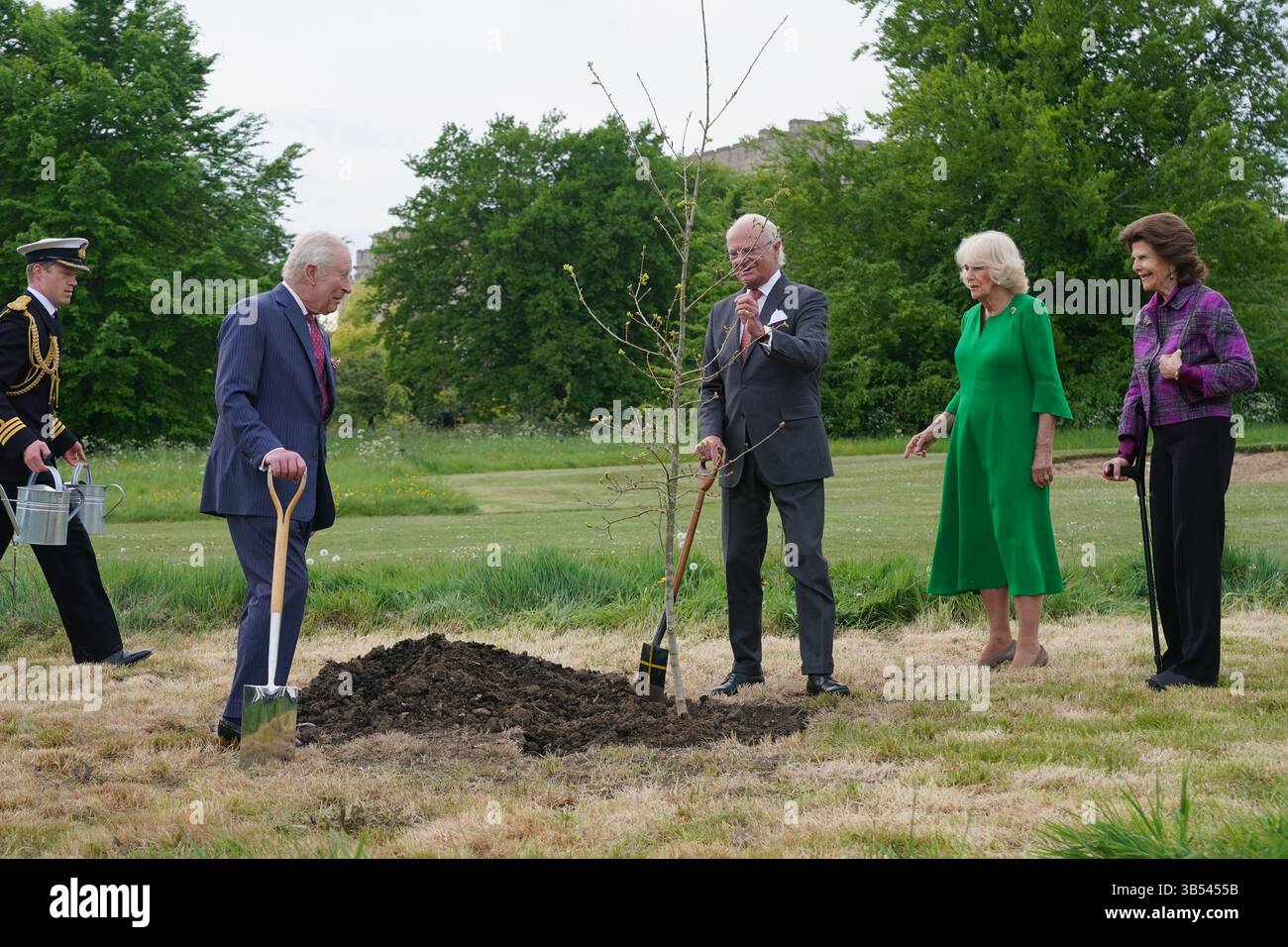 King Charles III and King Carl XVI Gustaf plant a Swedish oak (Quercus ...