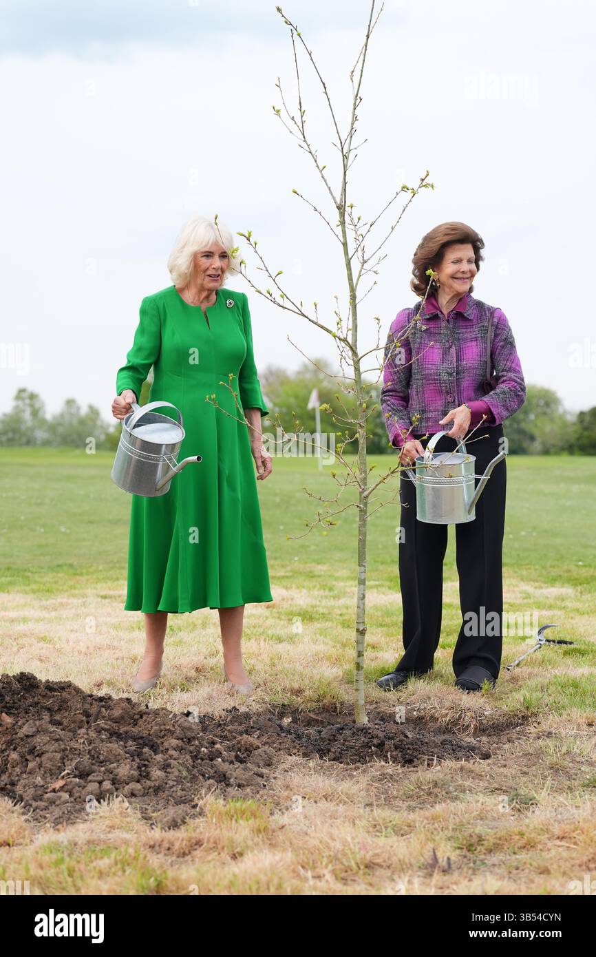 Queen Camilla and Queen Silvia of Sweden, plant a Swedish oak (Quercus ...
