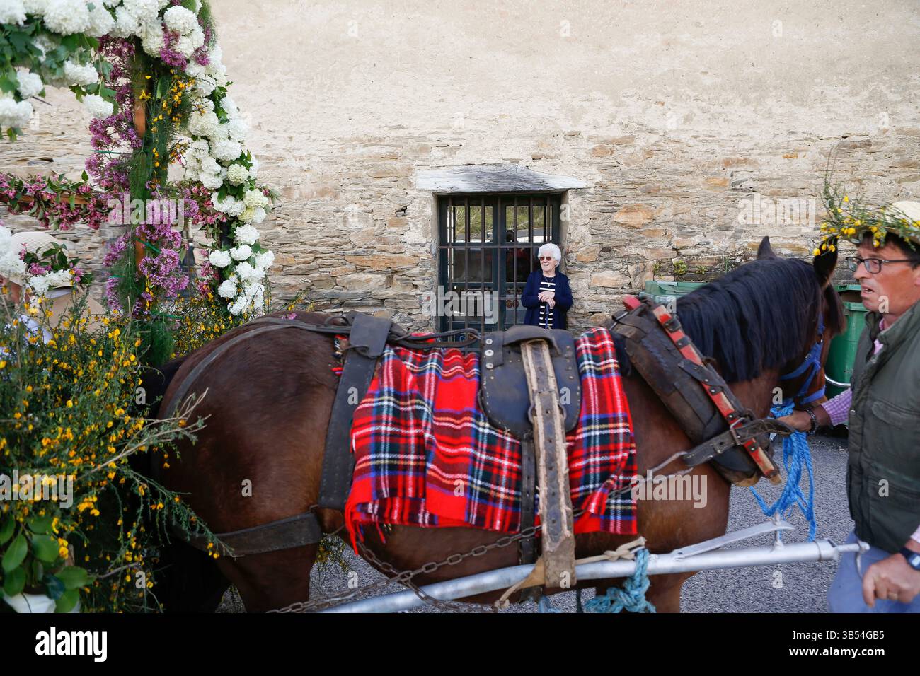 Celebration of Os Maios and the Peasant Festival, on May 1, 2025, in ...