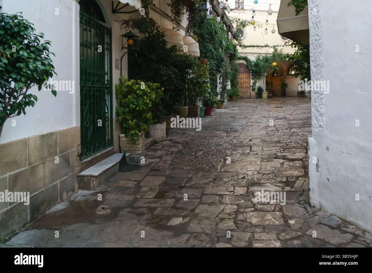 Enchanting Stone Pathway, Greenery Adorned Historic Courtyard Stock ...