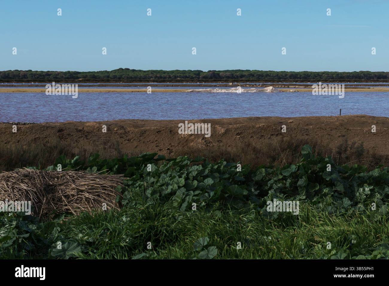 Sky under salt marsh hi-res stock photography and images - Alamy
