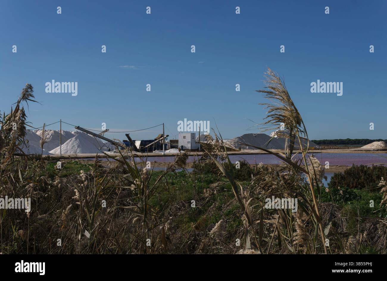 Industrial Salt Production with Natural Foreground under Clear Sky ...