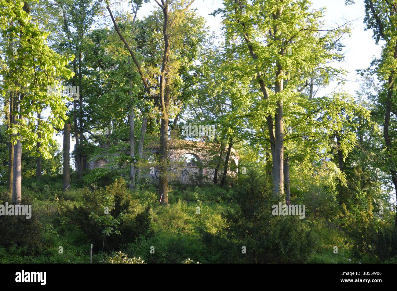 Berlin, Germany - April 28, 2025 - Gemeindepark Lankwitz. (Photo by ...