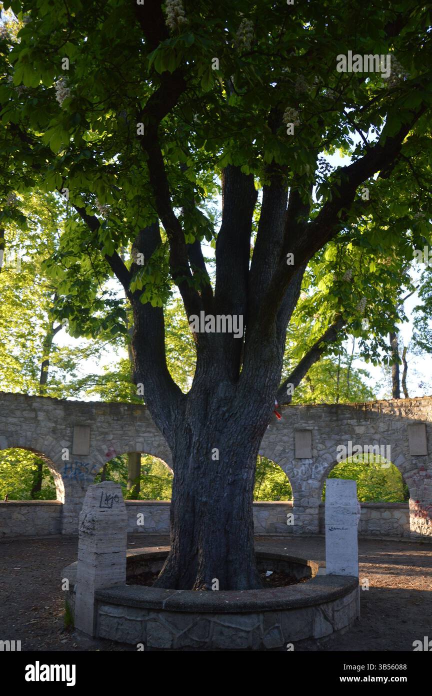 Berlin, Germany - April 28, 2025 - Gemeindepark Lankwitz. (Photo by ...